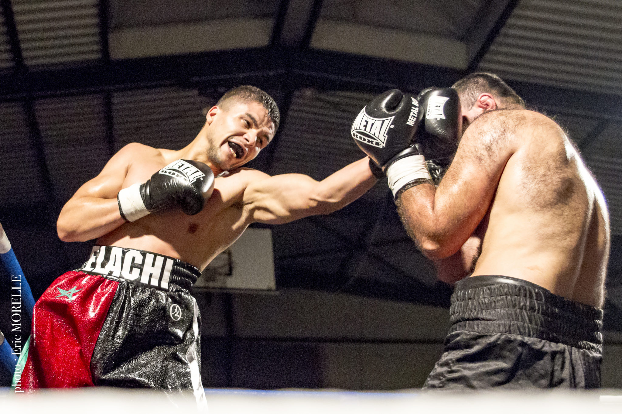 BOXE ANGLAISE - Eric Photos